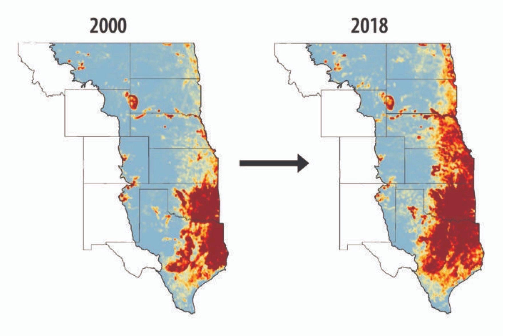 Header Primary Navigation
