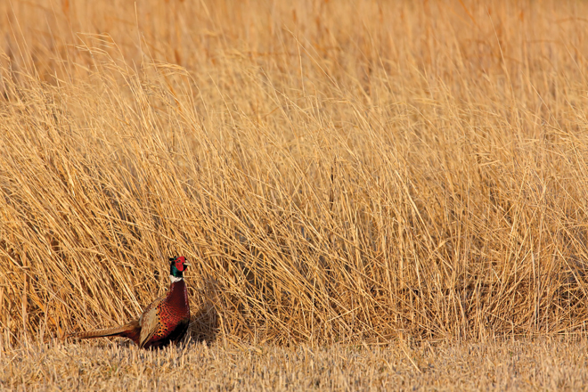 Photo by Gray Kramer