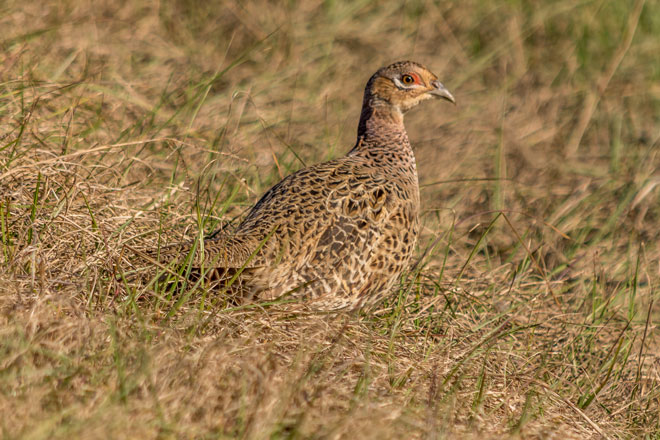 0fe5c25f-e965-478c-89ad-66981f36823c