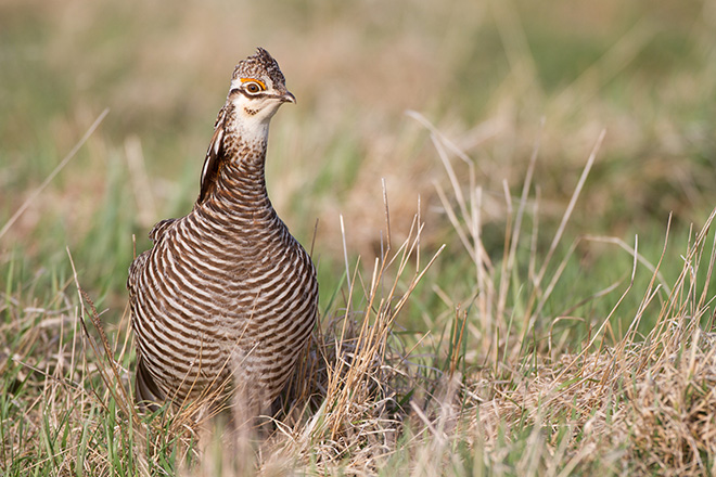 120d494d-bdde-4c32-84e2-819887d6a0f9