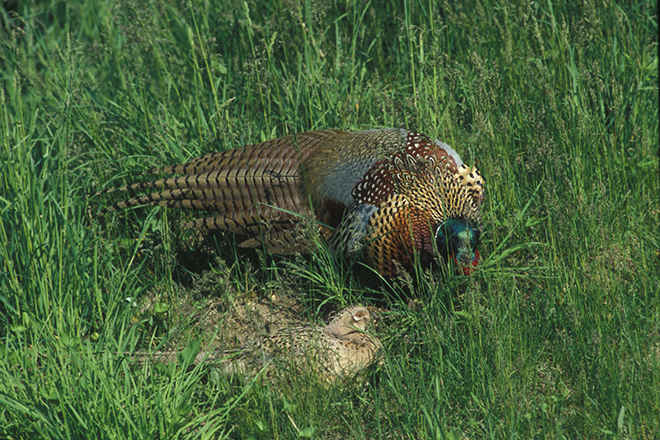 1515d5e8-0fb8-48e6-ae5f-365606bf6ad6