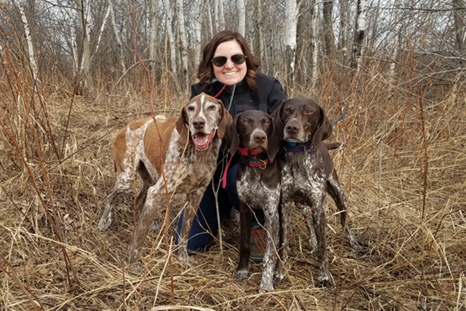 Are Labs Good Bird Dogs
