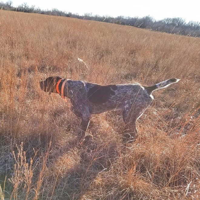 26621b26-d12e-43c5-824b-d8018da724a0