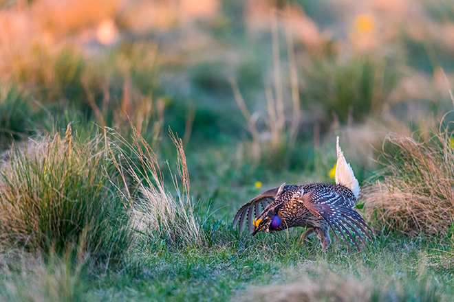 2c6ac041-7324-47be-893f-a5102537d88f