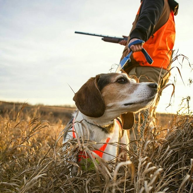 3168bd77-be56-4ccc-b22b-a0be8c365141