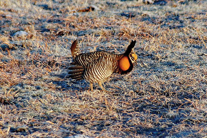 3a5ed67b-c0b4-4cae-b608-b2fac32332cd