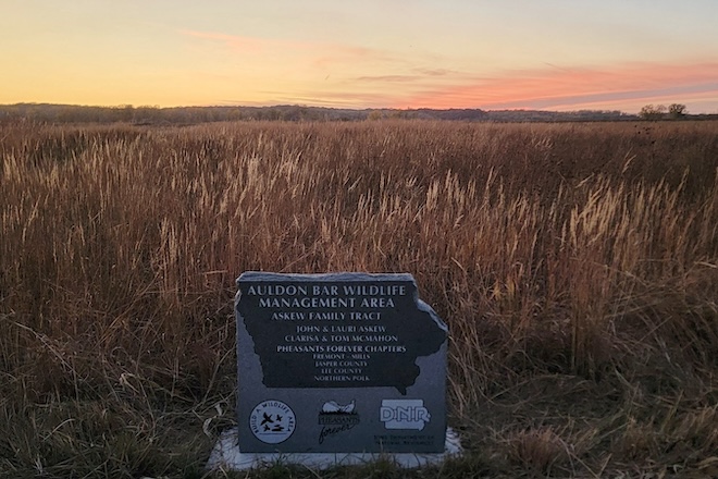 417bc87d-d376-4f9a-8ca3-8070b1bee1d0