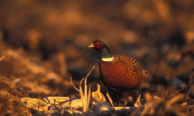 43592632-77b0-4cd4-8bac-30c0e37edcfc