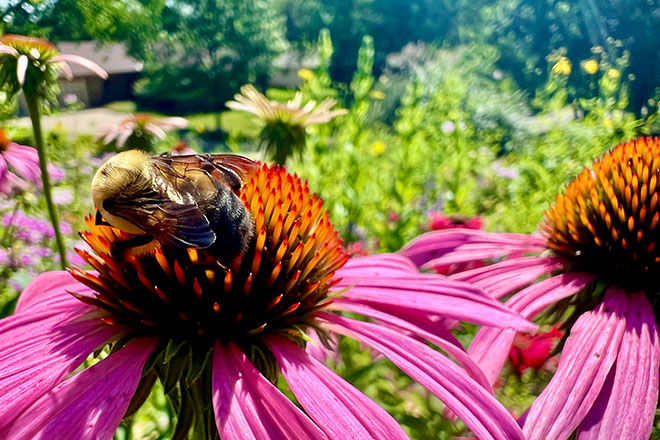 4ba95a0b-32c8-4ea7-bb03-a31018cf187b