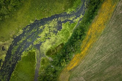 Pheasants Forever and Quail Forever Sign Memorandum of Understanding ...