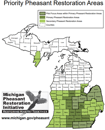 40K Acres Allotted for Michigan’s Pheasant and Monarch Recovery Program