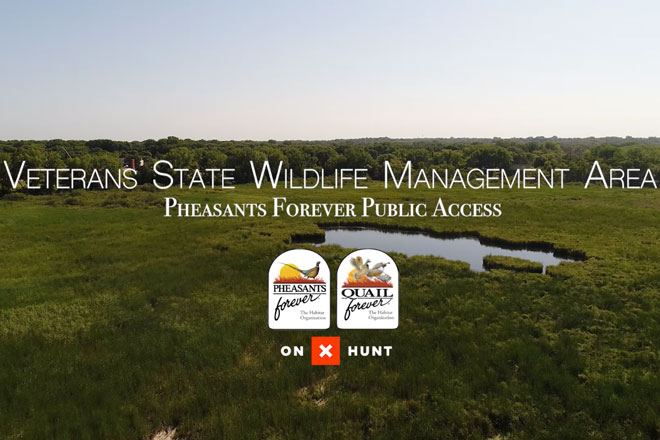 5135323e-3155-47d9-ae11-54633b7e8b7b