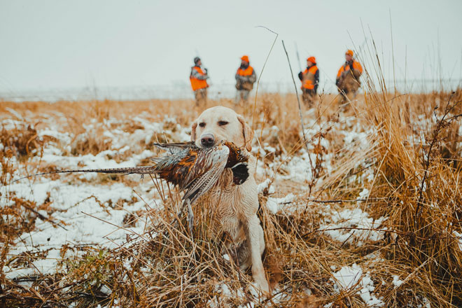 Ice Fishing Tips for Success