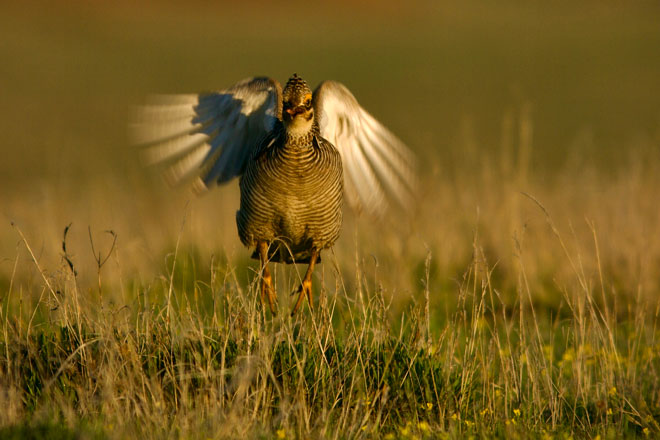 567243e0-b986-4801-8fd4-57d03cf60cac