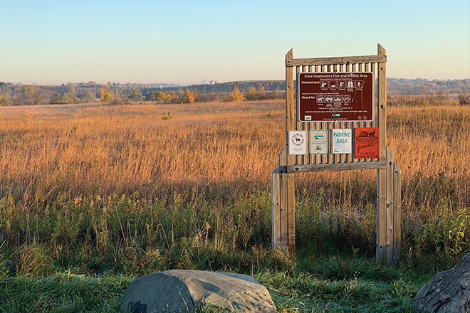 For Love of the Uplands