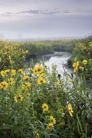 USDA Reopens Signup for Continuous Conservation Reserve Program