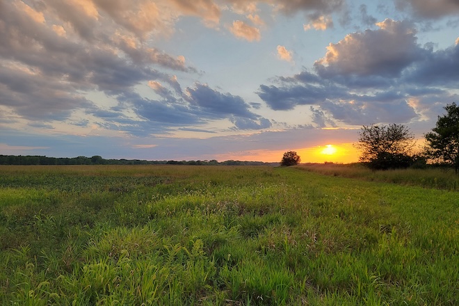 Header Secondary Navigation