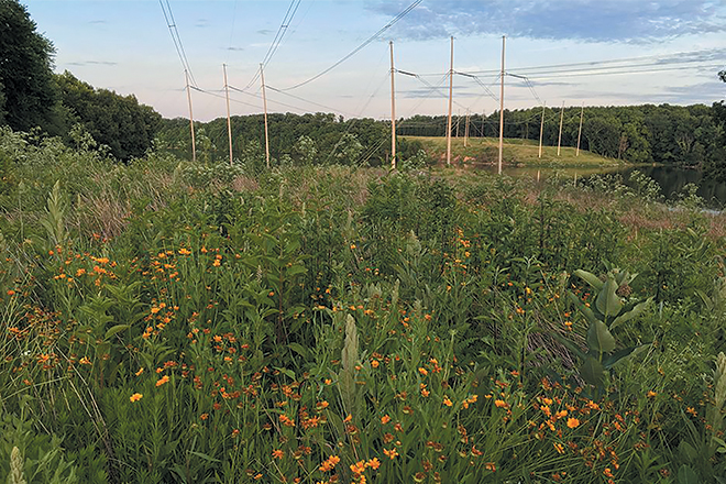 6603796f-95f9-408b-85cb-05af98908225