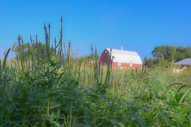 Header Secondary Navigation