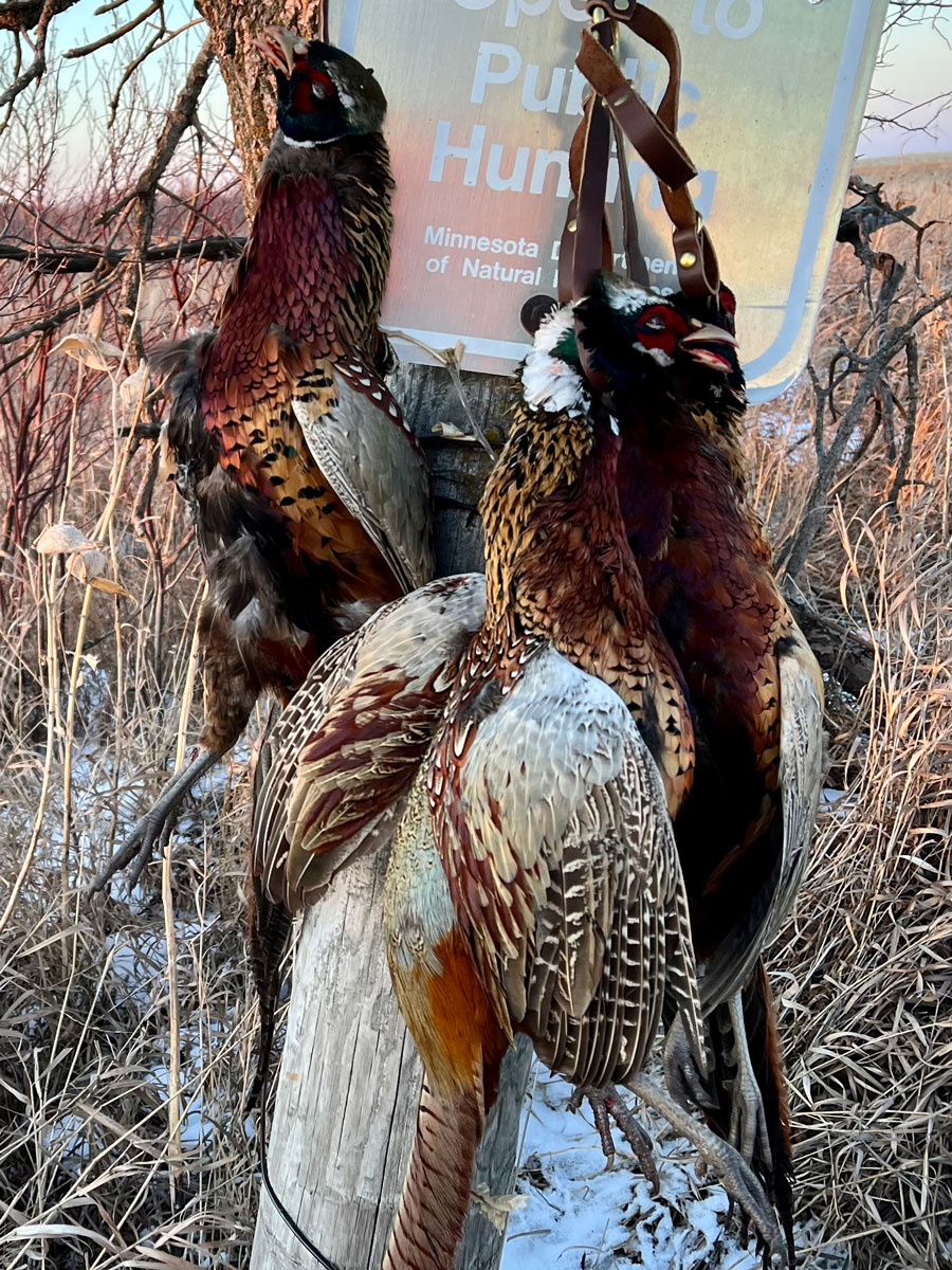 By Tom Carpenter, Pheasants Forever Journal Editor