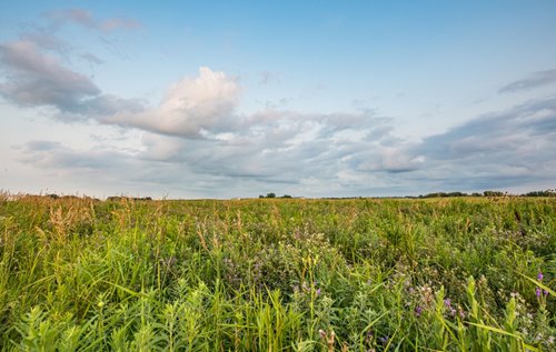 Advocates for Grassland Act Welcome New Conservation Tool