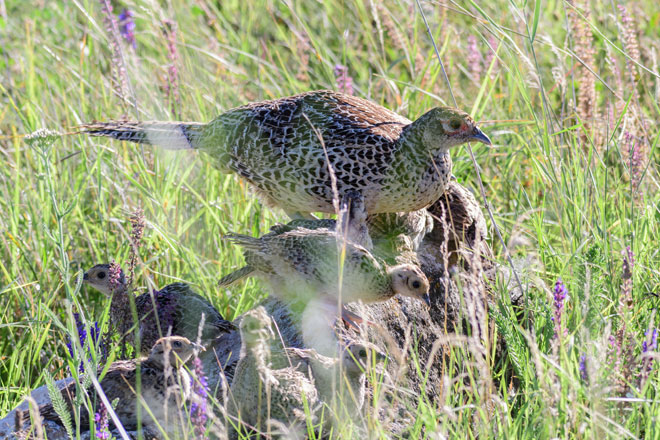 71c4806c-9f08-46ae-9f37-23cf896001ba