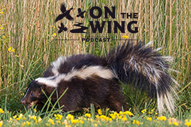 759bf34c-93d5-4a76-b151-439a2d6ae91b