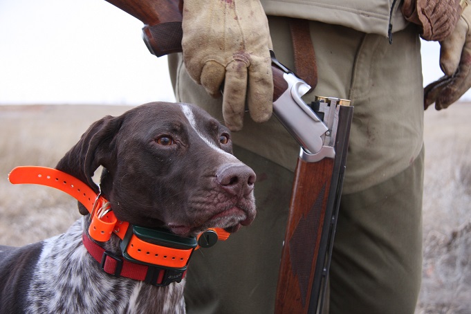 7aaa6878-dbc8-43d7-a1be-81a961242a52