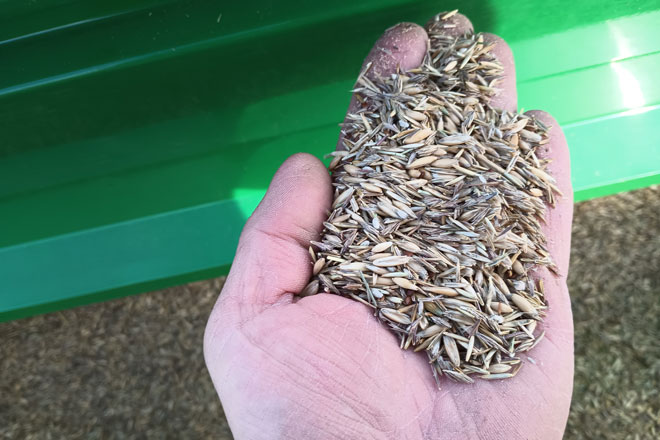 BENEFITS OF DORMANT SEEDING