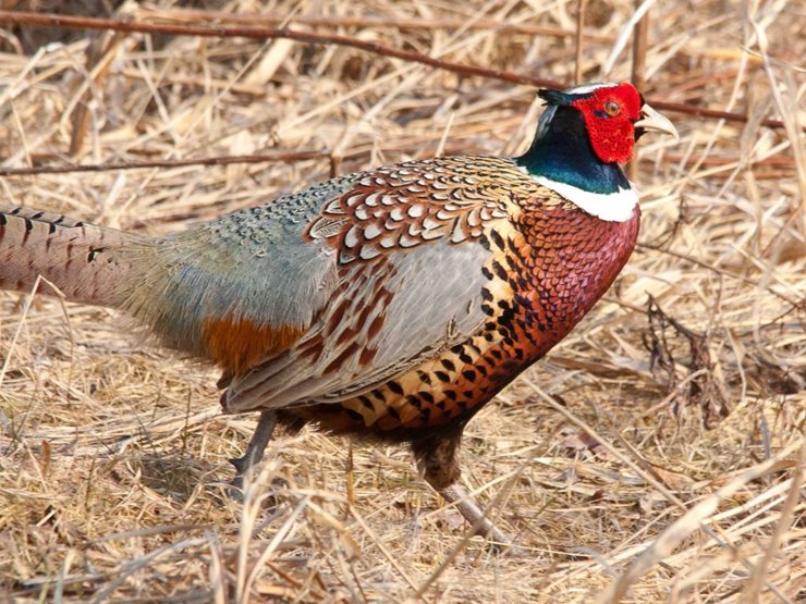 93b6c88e-966d-4e41-9f31-11374a796353