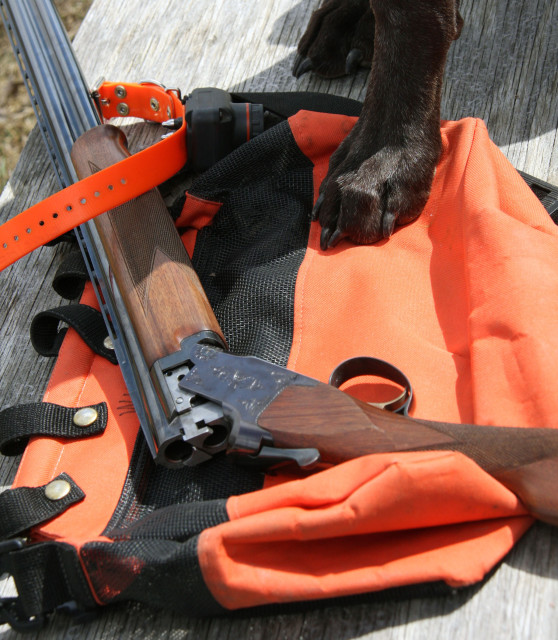 99e87ee5-0c79-42cb-866e-9e2402d50c71