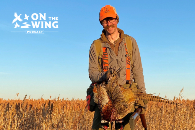 a31fd176-1808-43c6-973b-c11ae641738d