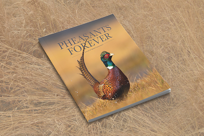 a3c7192a-695c-467e-8544-17aef8777ec4