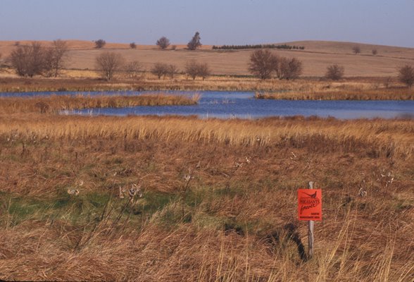 Pheasants Forever and Quail Forever receive grant funding from the ...