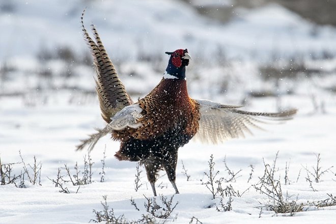 aa5ae8bc-2b60-42a0-ab92-997643aaca3d