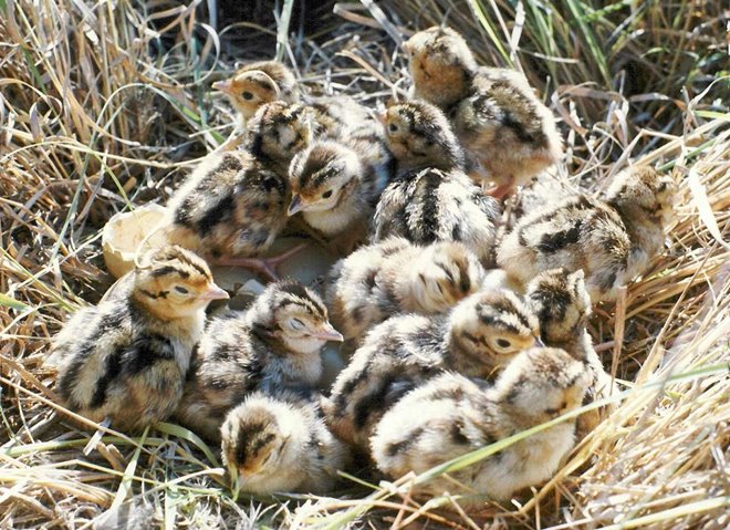 b9836603-a420-4f96-b177-52417c55e138