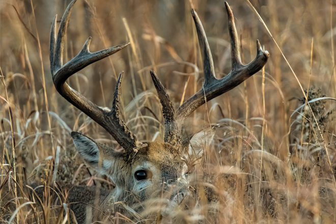 bd9b831b-8ecb-4164-84ed-736e63333b40