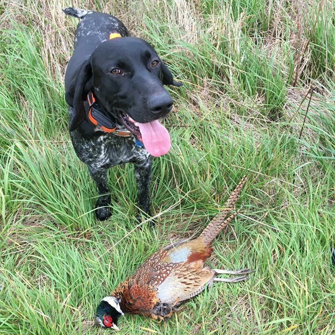 c89db859-2faa-4fb0-999a-f51547bf7277