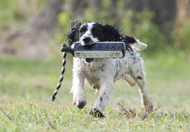 c96ae0c0-f82a-468d-943b-616e3a85f2ce