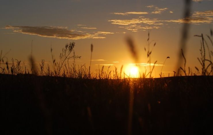 c9dd8307-2bdc-4734-9199-c0c54fb8f035