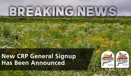 Pheasants Forever and Quail Forever Applaud USDA General and Grassland ...