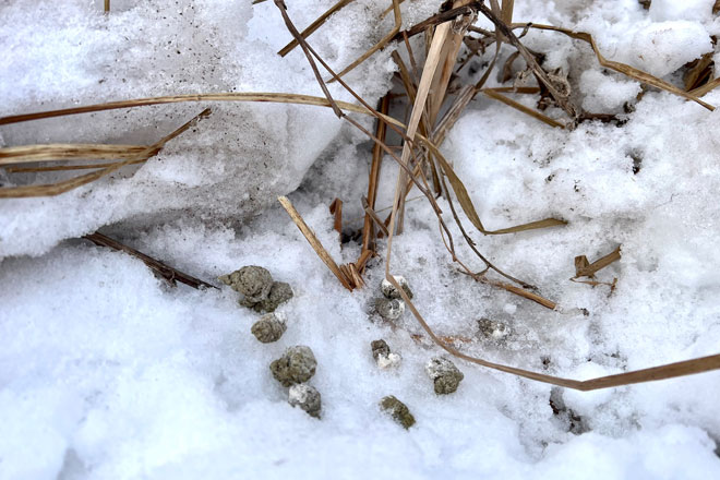 e581eb5a-3e47-4017-bb97-7657e9234a14