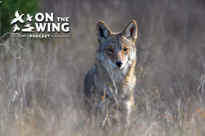 f71c06b3-a858-4f96-8bb2-4904c8cb65e8