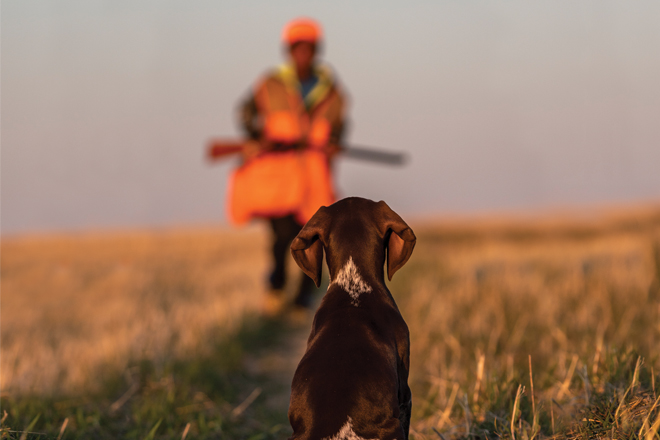 f9d01167-3ea3-4ffb-9a65-785b3240575f