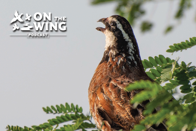 fcccdc73-4e83-4ca8-a984-f55001312d59