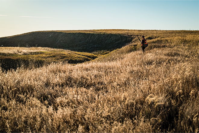 For more information on Call of the Uplands, please visit ...