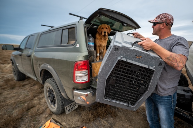 ff7e3af4-514c-4cda-a6b7-6934b3edb43b