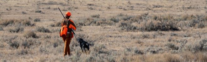 Become, or become a better, upland bird hunter.