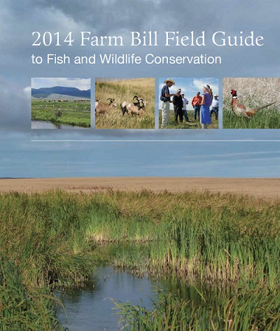 New Farm Bill Guide Now Available